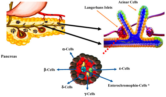 IJMS | Free Full-Text | Diabetes Mellitus Is a Chronic Disease that Can ...