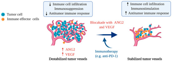 The Angiopoietin-2 and TIE Pathway as a Therapeutic Target for ...