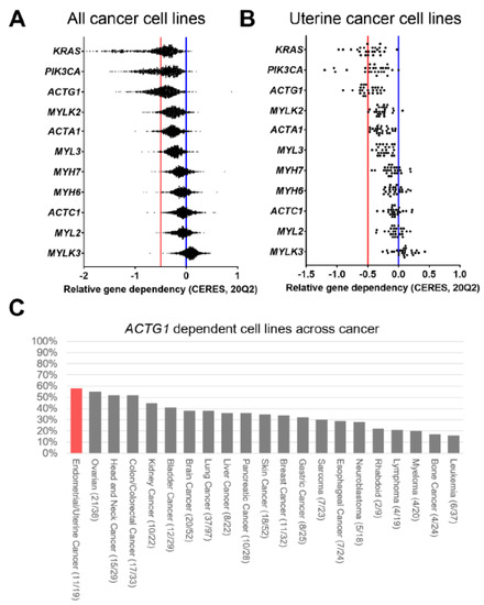 Genomic Amplification and Functional Dependency of the Gamma Actin Gene ...