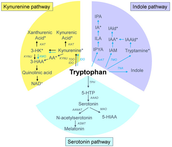 Developmental Programming and Reprogramming of Hypertension and Kidney ...