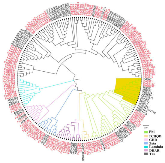 Identification of Anthocyanins-Related Glutathione S-Transferase (GST ...