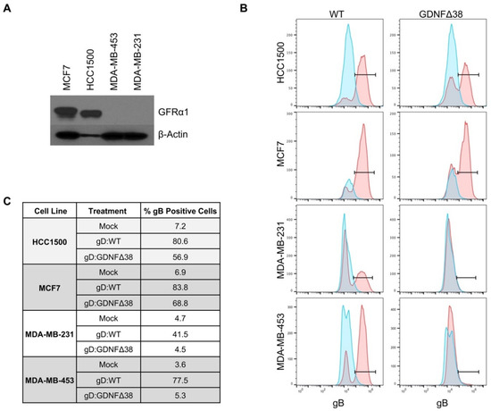 Generation of an Oncolytic Herpes Simplex Viral Vector Completely ...