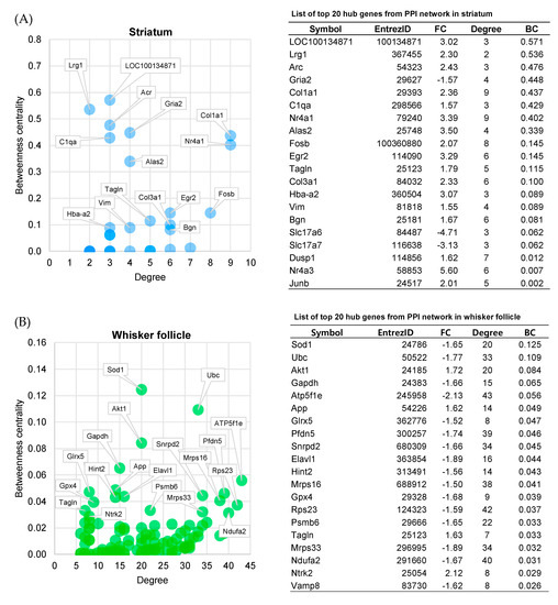 Transcriptional Profiling of Whisker Follicles and of the Striatum in ...