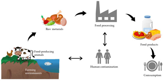 Bacterial Persister-Cells and Spores in the Food Chain: Their Potential ...
