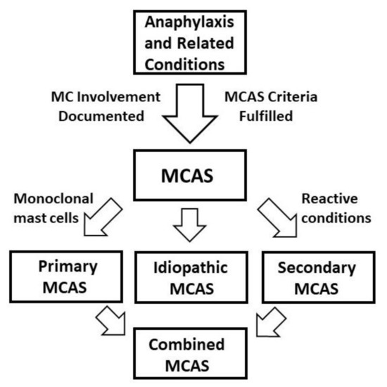 Diagnosis, Classification and Management of Mast Cell Activation ...