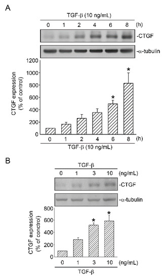 TGF-β Induced CTGF Expression in Human Lung Epithelial Cells through ERK, ADAM17, RSK1, and C ...