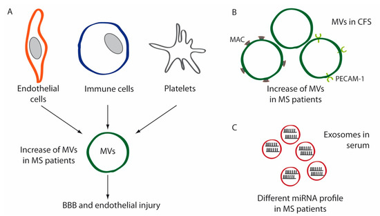 The Role of Extracellular Vesicles in Demyelination of the Central Nervous System