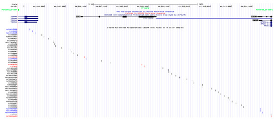 A Long-Read Sequencing Approach for Direct Haplotype Phasing in ...