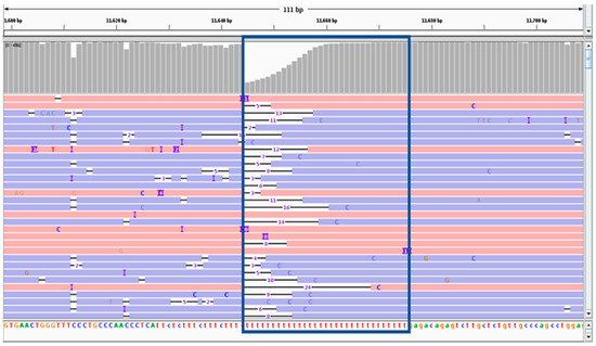IJMS | Free Full-Text | A Long-Read Sequencing Approach for Direct ...