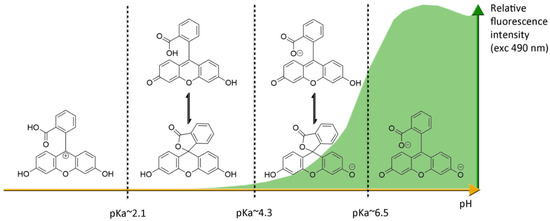 Fluorescein Derivatives as Fluorescent Probes for pH Monitoring along ...