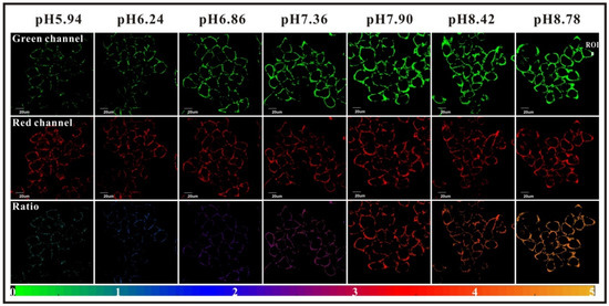 Fluorescein Derivatives as Fluorescent Probes for pH Monitoring along ...