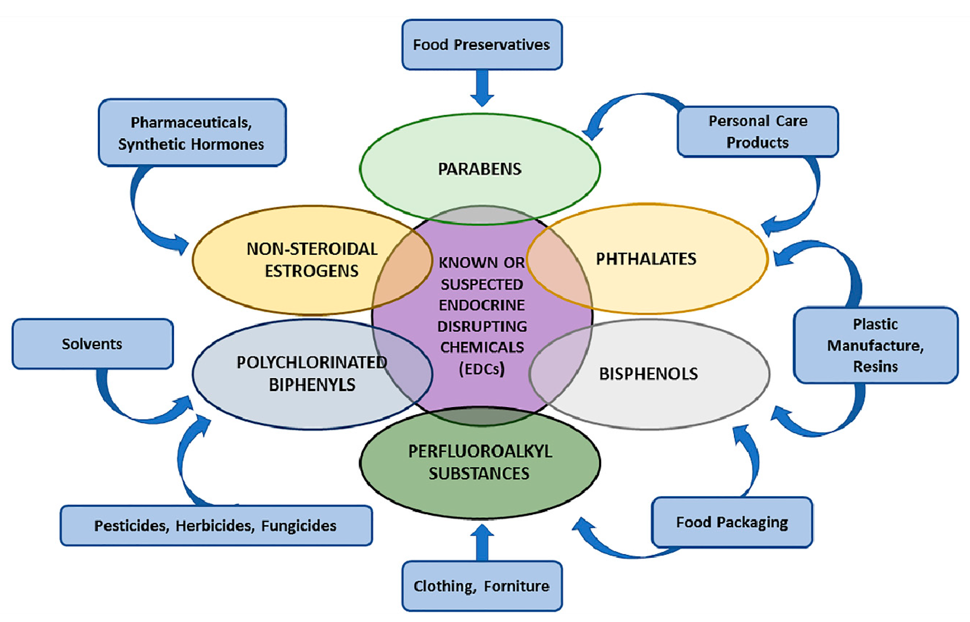 Ijms Free Full Text Endocrine Disrupting Chemicals Edcs Effects
