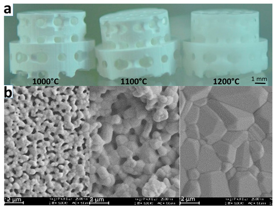 Microporosities in 3D-Printed Tricalcium-Phosphate-Based Bone ...