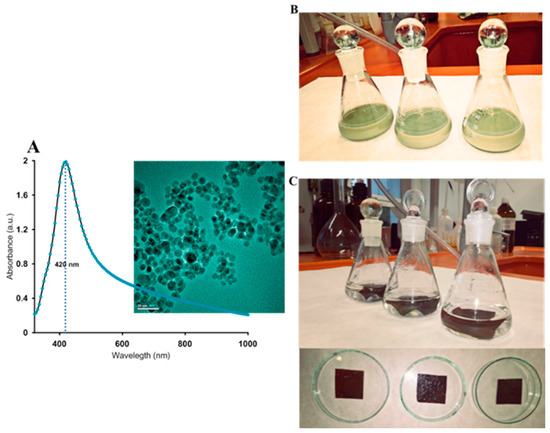 Small AgNP in the Biopolymer Nanocomposite System