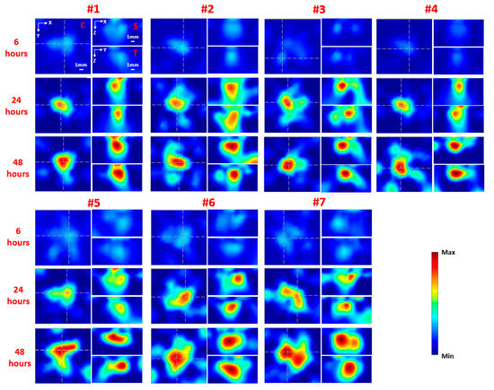 In Vivo Evaluation of a Miniaturized Fluorescence Molecular Tomography ...