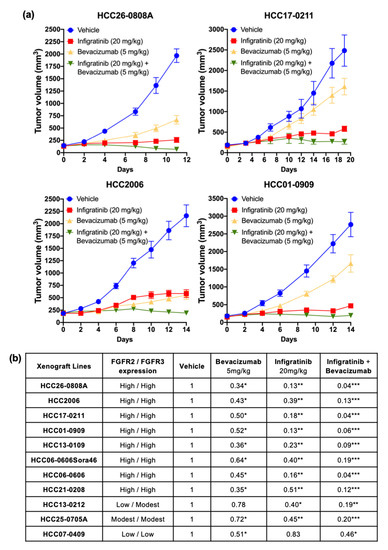 Bevacizumab Augments the Antitumor Efficacy of Infigratinib in ...