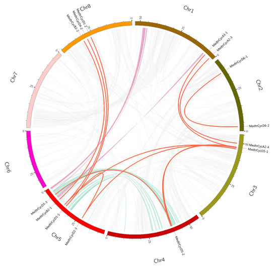 Genome-Wide Analysis of the Cyclin Gene Family and Their Expression ...