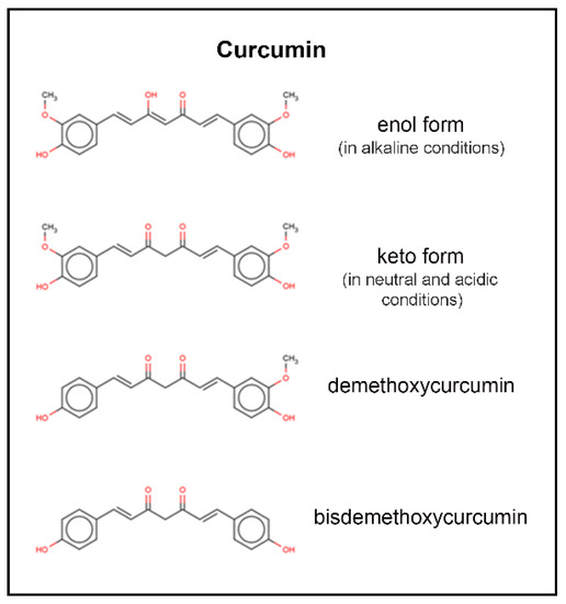 Antitumor Activity of Curcumin in Glioblastoma
