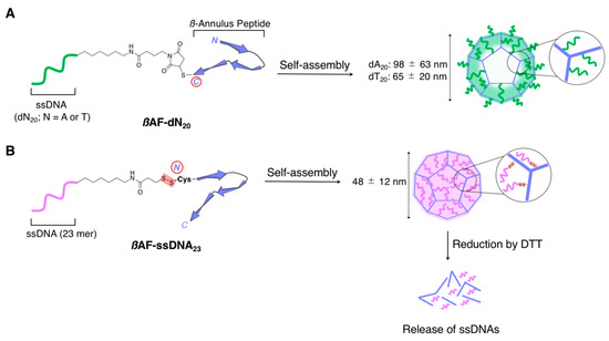 IJMS | Special Issue : Self-Assembly Mechanism and Connection of ...