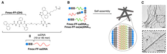 IJMS | Special Issue : Self-Assembly Mechanism and Connection of ...