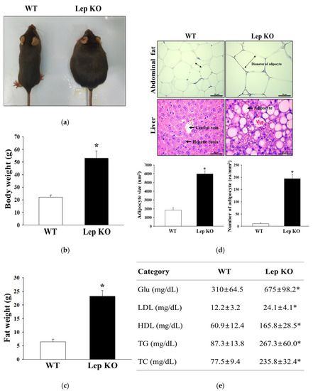 IJMS | Free Full-Text | Molecular Characterization of Constipation ...