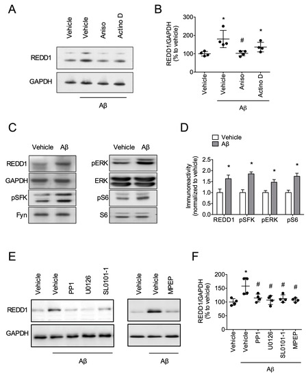 REDD1 Is Involved in Amyloid β-Induced Synaptic Dysfunction and Memory ...