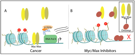 The Molecular ‘Myc-anisms’ behind Myc-Driven Tumorigenesis and the ...