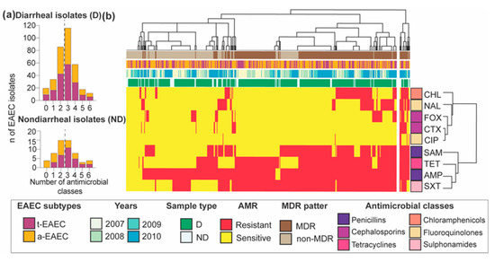 Molecular Epidemiology of Enteroaggregative Escherichia coli (EAEC ...