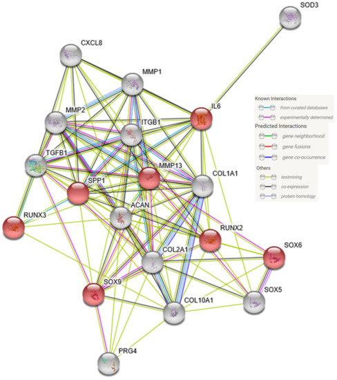 Tissue Engineering of Cartilage Using a Random Positioning Machine
