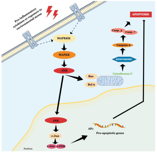 c-Jun N-Terminal Kinase Inhibitors as Potential Leads for New ...