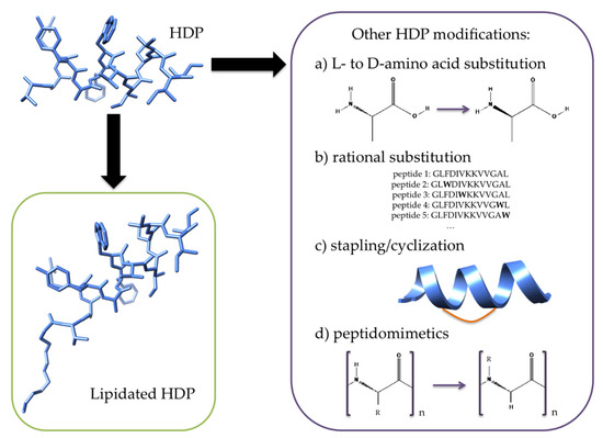 Lipidation of Antimicrobial Peptides as a Design Strategy for Future ...