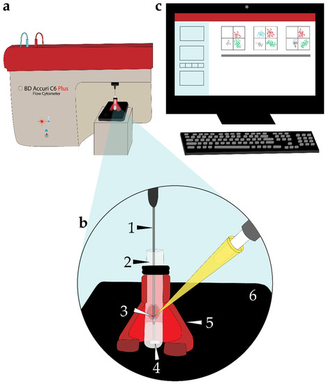 Time-Lapse Flow Cytometry: A Robust Tool to Assess Physiological ...