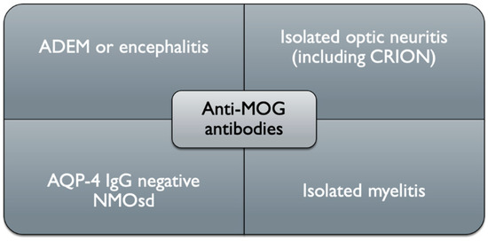 Myelin Oligodendrocyte Glycoprotein Antibody-Associated Disease ...