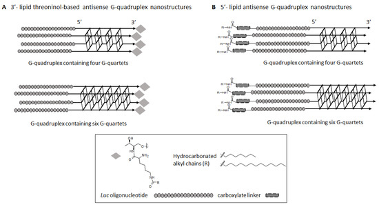 Tuning G-Quadruplex Nanostructures with Lipids. Towards Designing ...