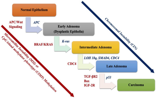 Molecular Mechanisms of Colon Cancer Progression and Metastasis: Recent ...