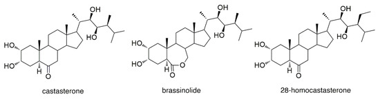 Synthesis and Biological Activity of Brassinosteroid Analogues with a ...