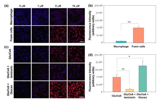 In Vitro Photodynamic Effects of the Inclusion Nanocomplexes of Glucan ...