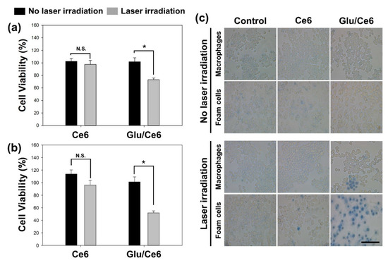 In Vitro Photodynamic Effects of the Inclusion Nanocomplexes of Glucan ...