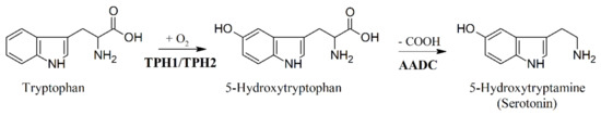 5-Hydroxytryptophan (5-HTP): Natural Occurrence, Analysis, Biosynthesis ...