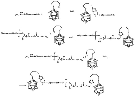 Terminal Mono- and Bis-Conjugates of Oligonucleotides with Closo ...