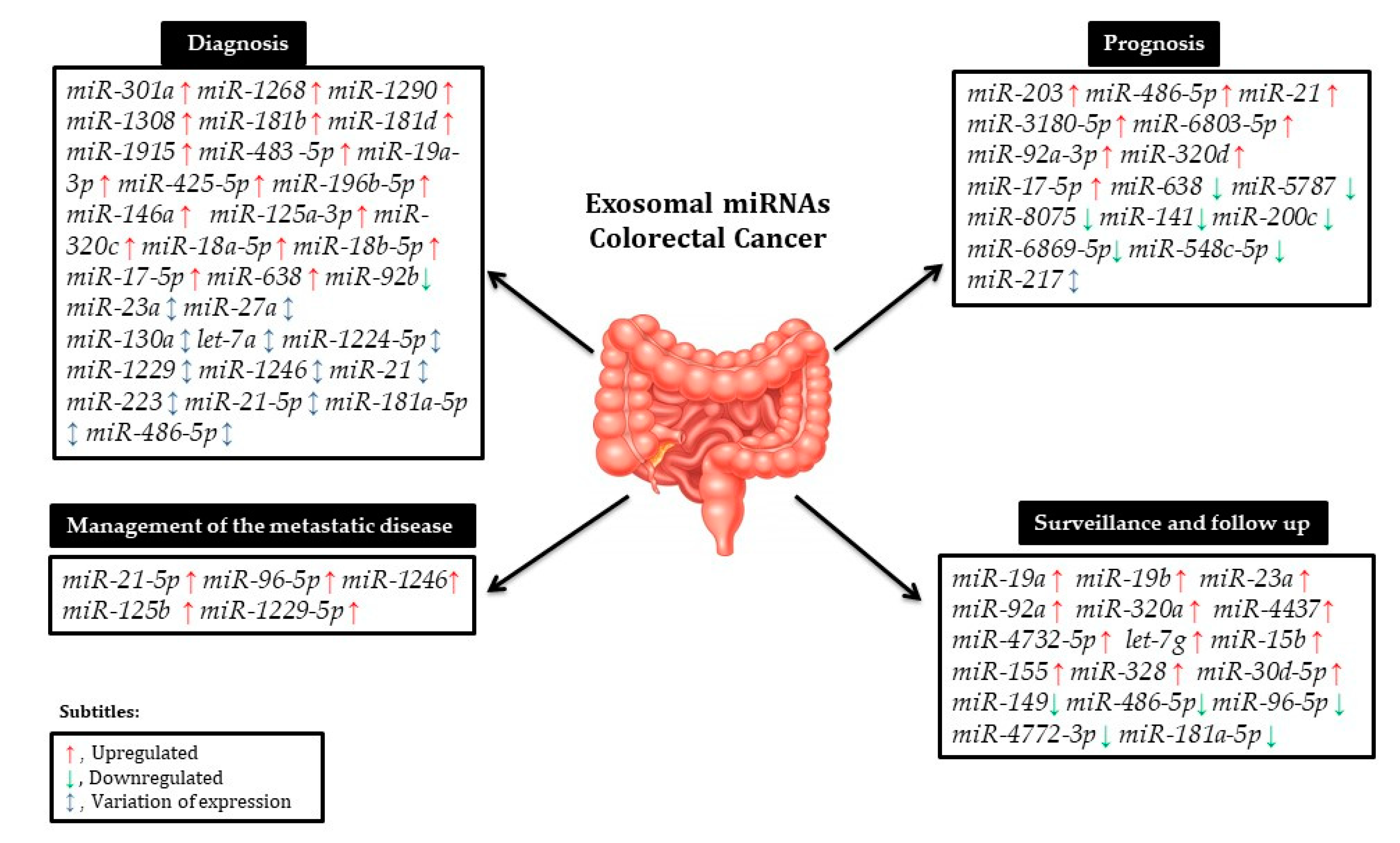 Circulating Exosomal miRNAs as Biomarkers for the Diagnosis and ...