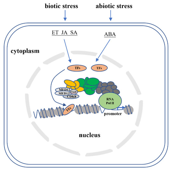 Signal Integration by Cyclin-Dependent Kinase 8 (CDK8) Module and Other ...
