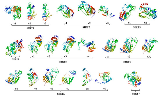 Alternative Splicing Increases Sirtuin Gene Family Diversity and ...