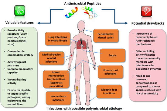 IJMS | Free Full-Text | Therapeutic Potential of Antimicrobial Peptides ...