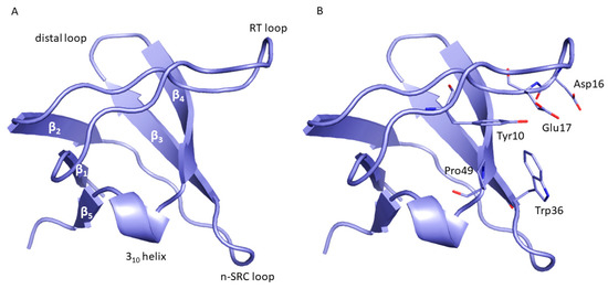 In Silico Identification of Potential Druggable Binding Sites on CIN85 ...