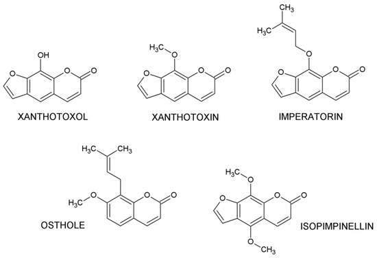 IJMS | Free Full-Text | Synergy, Additivity, and Antagonism between ...