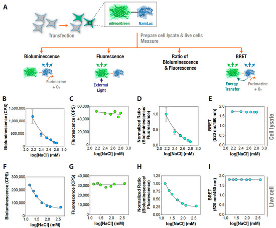 Intracellular Ionic Strength Sensing Using NanoLuc