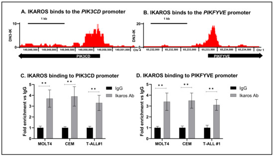 Transcriptional Regulation of PIK3CD and PIKFYVE in T-Cell Acute ...