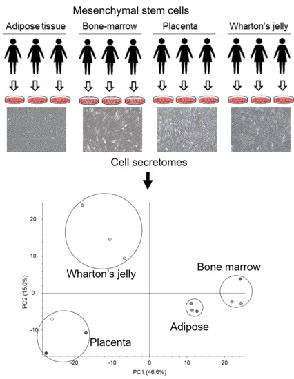 IJMS | Free Full-Text | Comparative Proteomic Analysis of the Mesenchymal Stem Cells Secretome ...