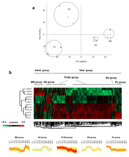IJMS | Free Full-Text | Comparative Proteomic Analysis of the Mesenchymal Stem Cells Secretome ...